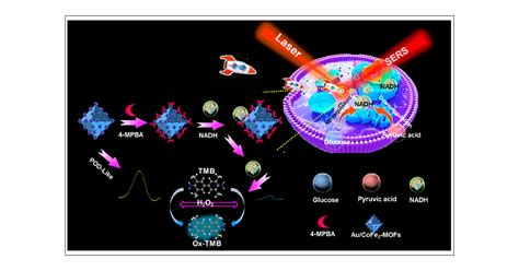 A Dual Mode Nadh Biosensor Based On Gold Nanostars Decorated Cofe2