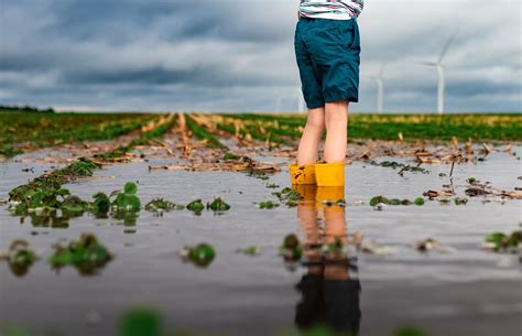 Nationale Nederlanden En Klimaatverandering Nn