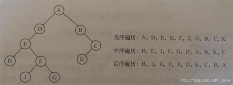 二叉树的基本操作及哈夫曼编码译码系统的实现二叉树的基本操作及哈夫曼编码系统的实现 Csdn博客