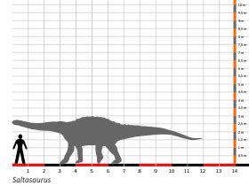 Saltasaurus Loricatus Beschreibung Dinodatade