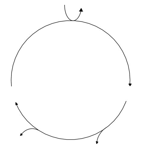 Diagram Of Atp Adp Cycle Quizlet