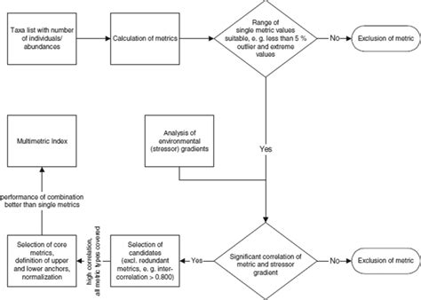 diagram showing the procedures needed to create a multimetric index