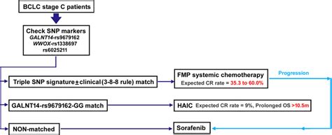Proposed Strategy To Treat Hcc Patients In Bclc C See Discussion For