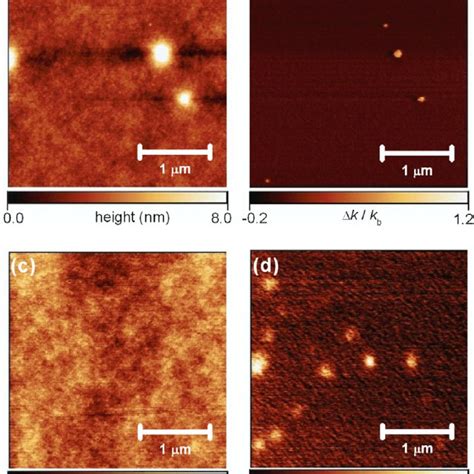 finite element model of the afm tip buried particle system geometry is