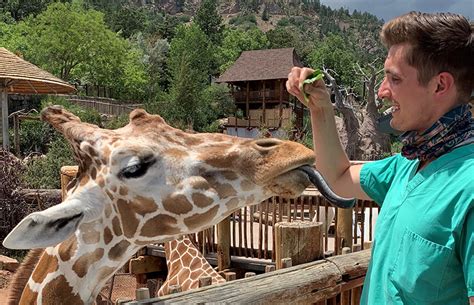 Welcome Cornell Wildlife Health Center