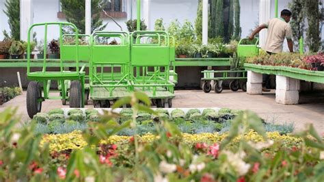 Premium Photo Nursery Shopping Cart For Garden Design