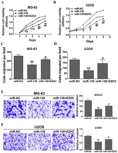 Forced Expression Of Ezh2 Restored Inhibitory Effects Of Download Scientific Diagram