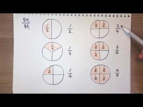 분수 개념 초등수학 Youtube