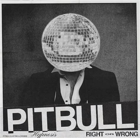 Pitbull Album