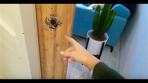 Halloween Prank Youtube