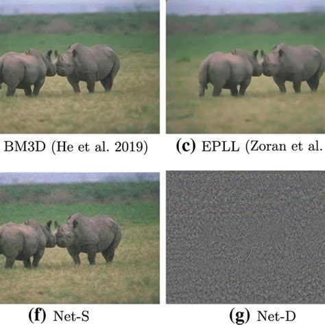 image denoising results in contrast to the deep end to end trainable download scientific