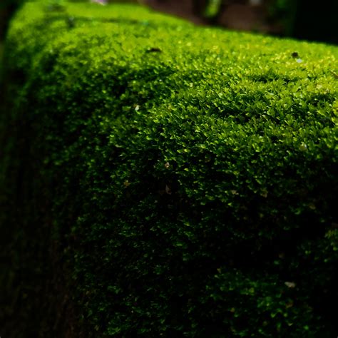 Mohammad Sameer Photography