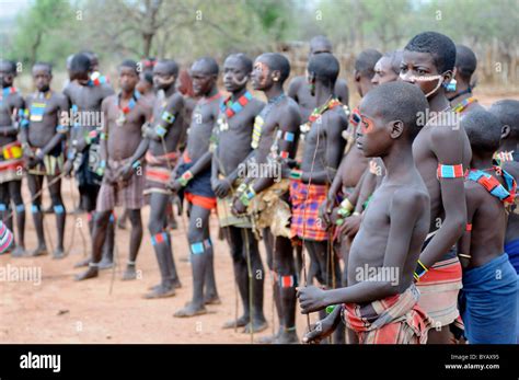 Young Warriors From The Hamar Tribe During Their Initiation Rite Bull