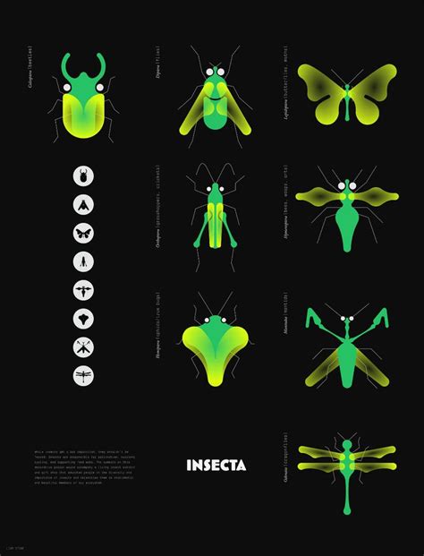 Science Brand Projects Insect Poster Design