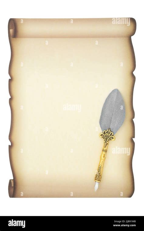 Parchment Paper Scroll With Feather Quill Pen On White Background Manuscript Diploma Document