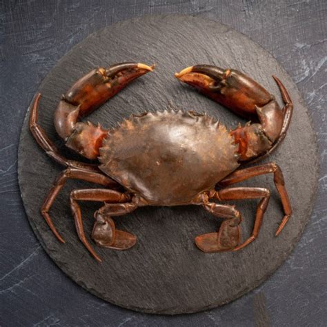 Buy Our Fresh Local Mud Crabs And Get It Deliver To Your Door