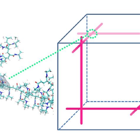 Fig S4 Schematic Representation Of The Microgel Network Model