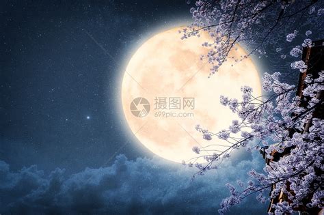 中秋月圆图片素材 正版创意图片401789806 摄图网