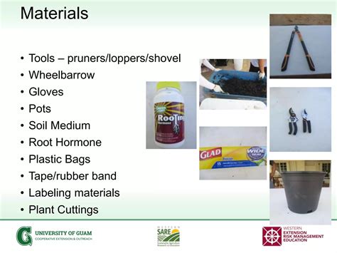 Plant Propagation Cuttings Pptx