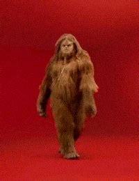 Hairy Girl Sexy Funny 