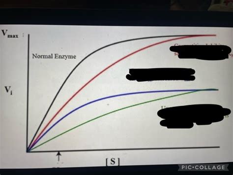Biochem Class 1 Graph Interpretations Flashcards Quizlet