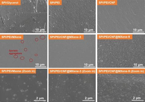SEM Images Of SPI Glycerol SPI PEI SPI PEI CNF SPI PEI MXene Download Scientific Diagram