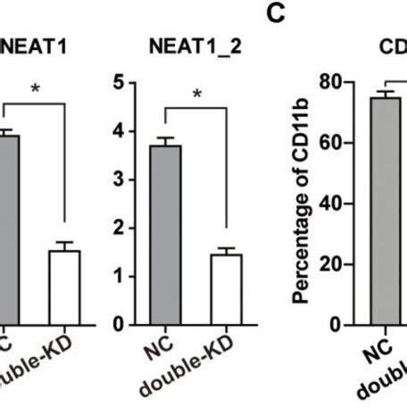 Double knockdown of C EBPα and C EBPβ reduces ATRA induced upregulation Download Scientific