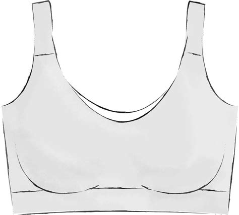 همه چیز در مورد سوتین