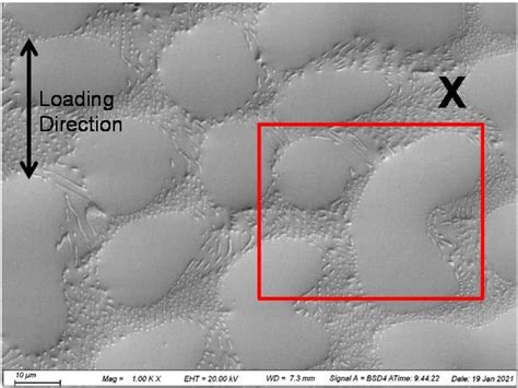 Typical Non Cycled Sac305 Microstructure Download Scientific Diagram