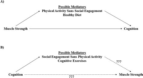 A Narrative Review Of Handgrip Strength And Cognitive Functioning Bringing A New Characteristic