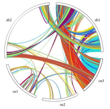 Python Networkx Curve Edges To The Middle Center Stack Overflow