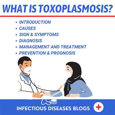 What Is Toxoplasmosis Uinfectiousdiseases