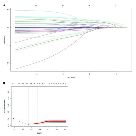 Predictors Selection Using Lasso Regression A Lasso Coefficient