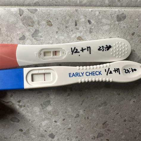 임신준비 2회차 배란8일차 증상배란유도제스마일얼리 시약선원포배란7일차임신테스트기배란8일차임신테스트기임테기 네이버 블로그