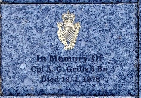 Austin Cecil Grills A Military Photos And Video Website