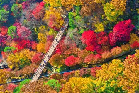 국민 절반이 가기 좋은 최고의 가을 여행지 단풍 보러 가기 좋은 수도권 여행지 추천