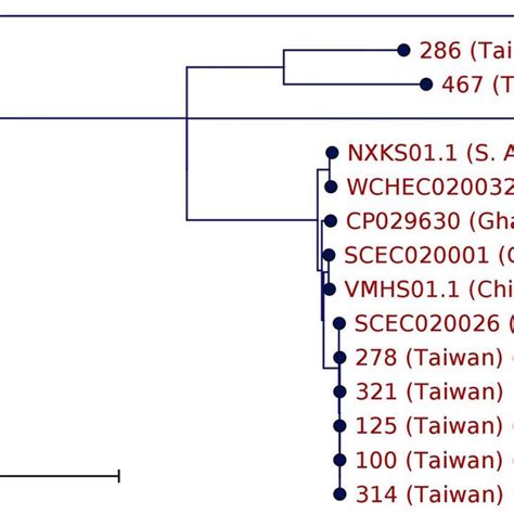Core Genome Mlst Analysis Result Based On The Whole Genome Sequencing Download Scientific