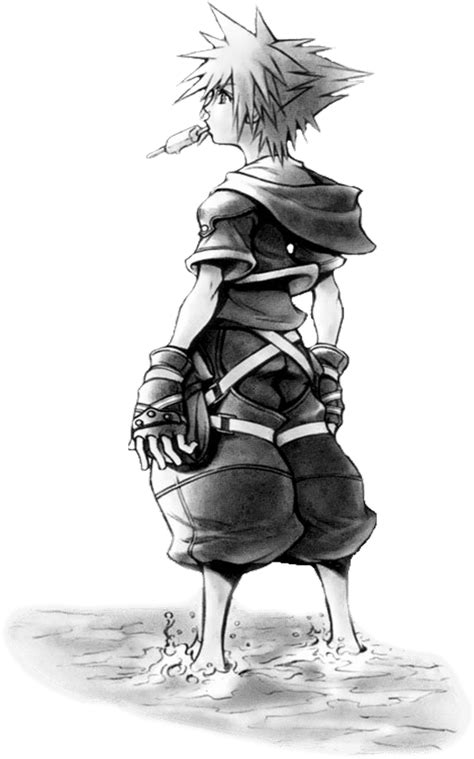 100 Kingdom Hearts Png Images