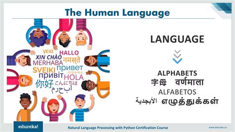 Natural Language Processing NLP Text Mining Tutorial Using NLTK