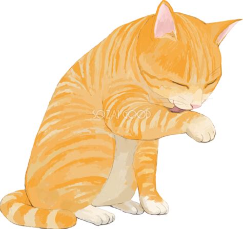 ほとんどのダウンロード 猫 丸くなる イラスト