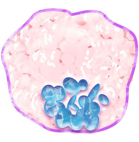 What Is A Lumpectomy Ucla Health Jonsson Comprehensive Cancer Center