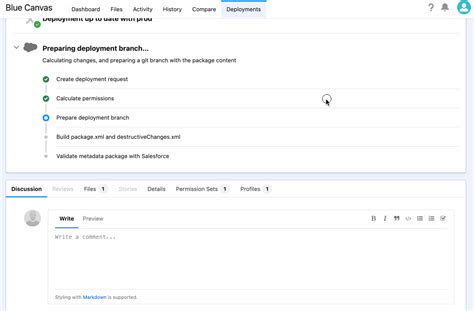 Deploying Salesforce Profiles And Permission Sets