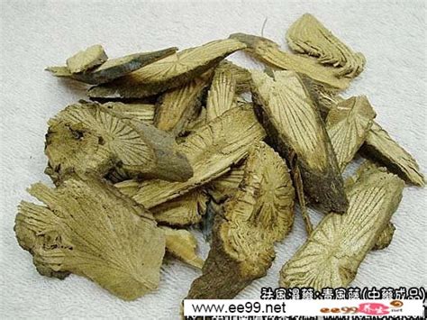 青风藤图片 青风藤的功效与作用 中药大全 功效与作用 ee99养生网