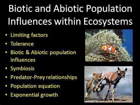 Limiting Factors In An Ecosystem