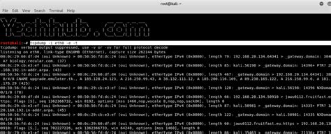 TCPDUMP Common Command Examples Yeah Hub