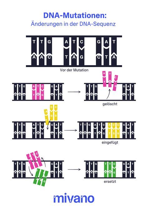 Genmutation Definition Beispiel And Arten Einfach Erklärt Mivano Health