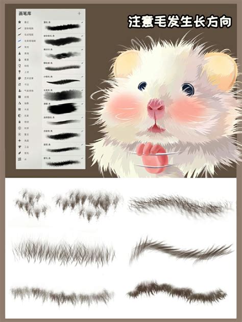 PS procreate通用笔刷毛绒笔刷质感逼真仿真动物毛发毛绒毛球你爱了吗 哔哩哔哩