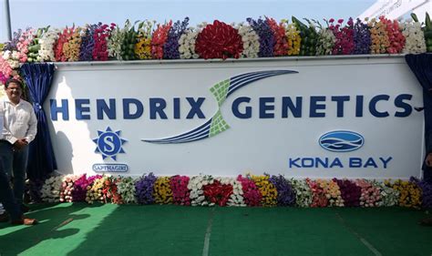 Hendrix Genetics Opens Its New Shrimp Breeding Multiplication Center In
