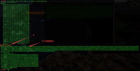 Rsa算法原理及ctf解题ctf Rsa 已知m N C 求e Csdn博客