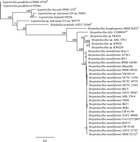 Phenotypic And Genotypic Characteristics Of Members Of The Genus Phenotypic And Genotypic Characteristics Of Members Of The Genus